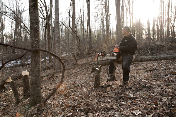 Hinge Cutting 202: Manipulating Deer Movement